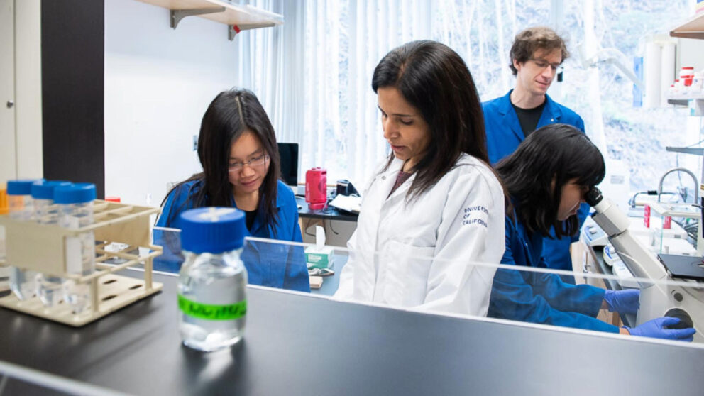 Macular Degeneration Research Program Overview Brightfocus Foundation