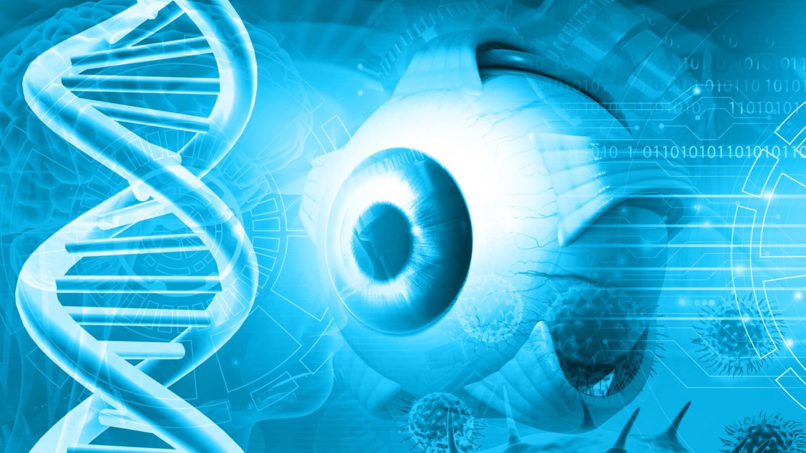 Turning Back the Biological Clock on Aged and Injured Eye Cells