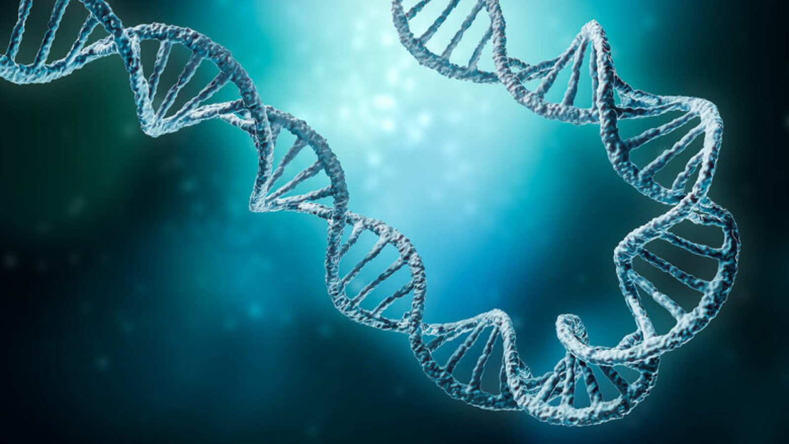How APOE Risk Variants Affect Brain Metabolism in the Lead-up to ...