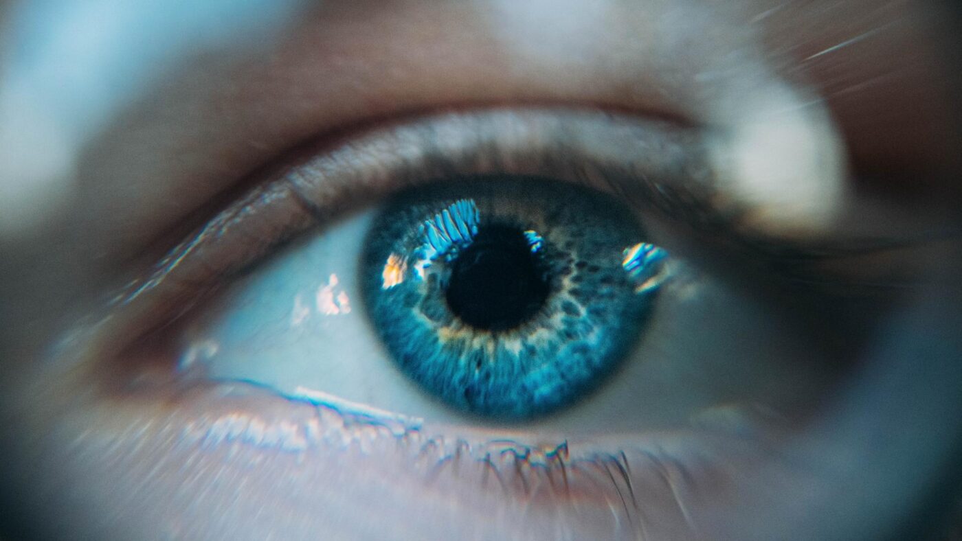First-Ever 3D Cell Model of Human Eye Replicates Key Parts of AMD