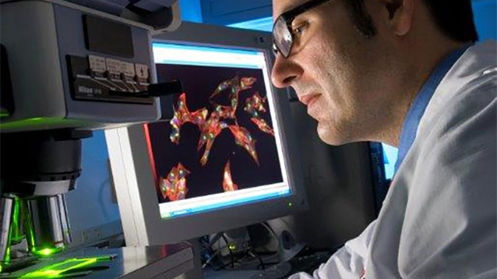 A Discovery in Mind and Sight? Q & A with BrightFocus Grantee Michael ...