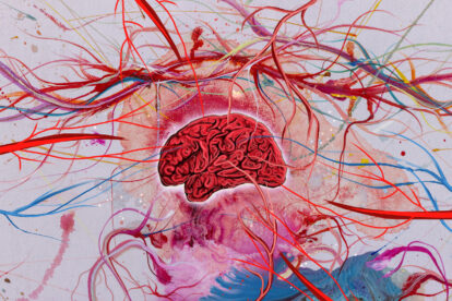 Alzheimer's Disease Research | BrightFocus Foundation