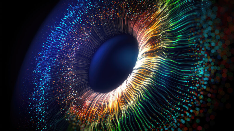 BrightFocus: Working to Save Mind and Sight