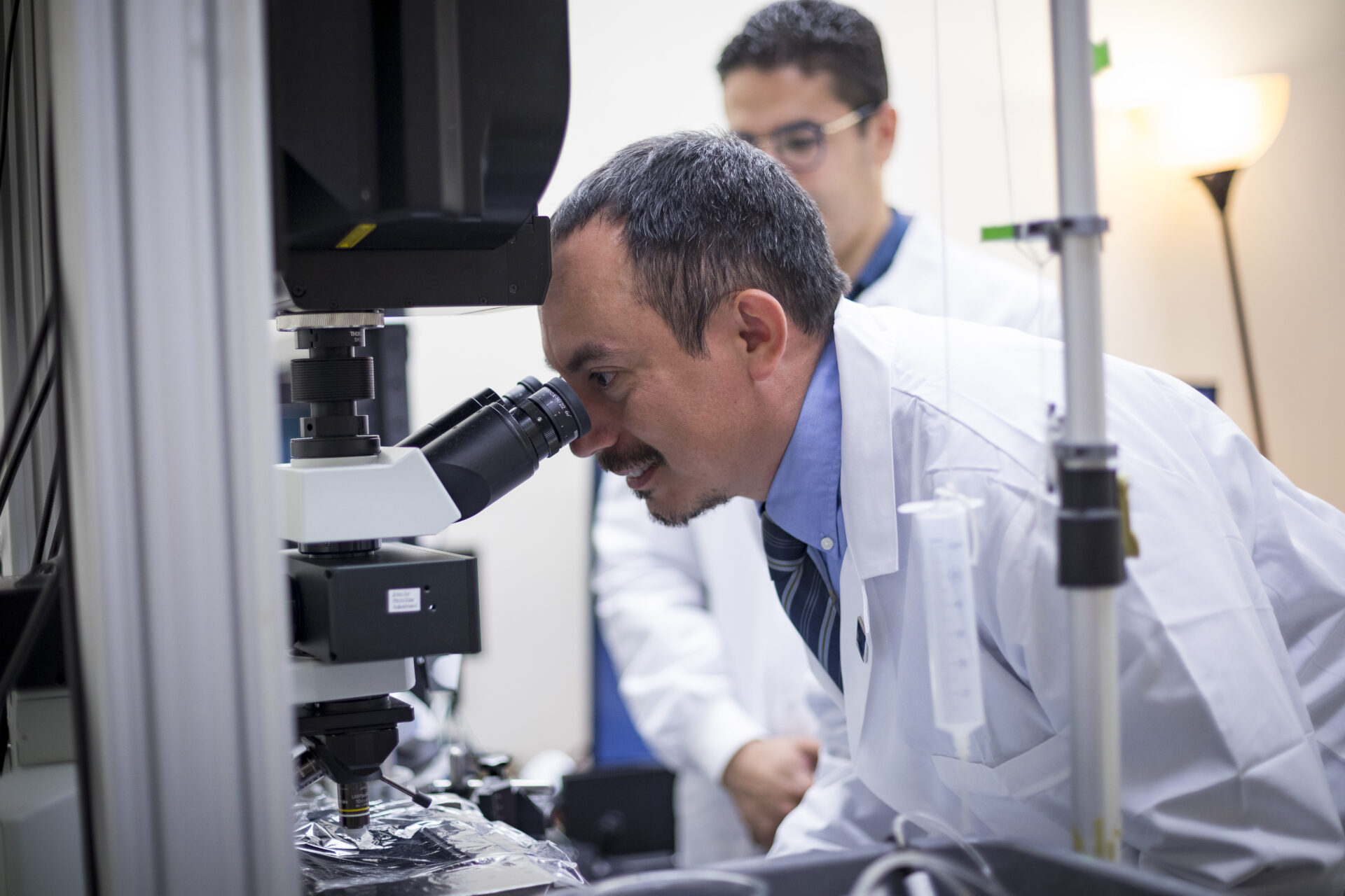 BrightFocus and Alzheimer’s Los Angeles Renew Partnership to Fund ...