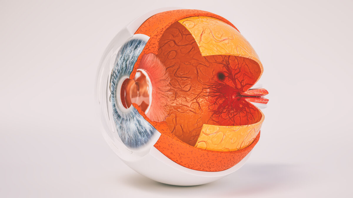 Harnessing Artificial Intelligence to Transform Glaucoma Detection